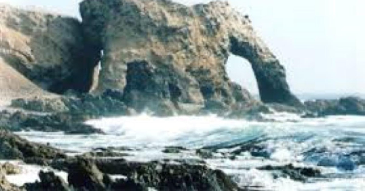 San Fernando Bay og sandboarding i Nazca. | GetYourGuide