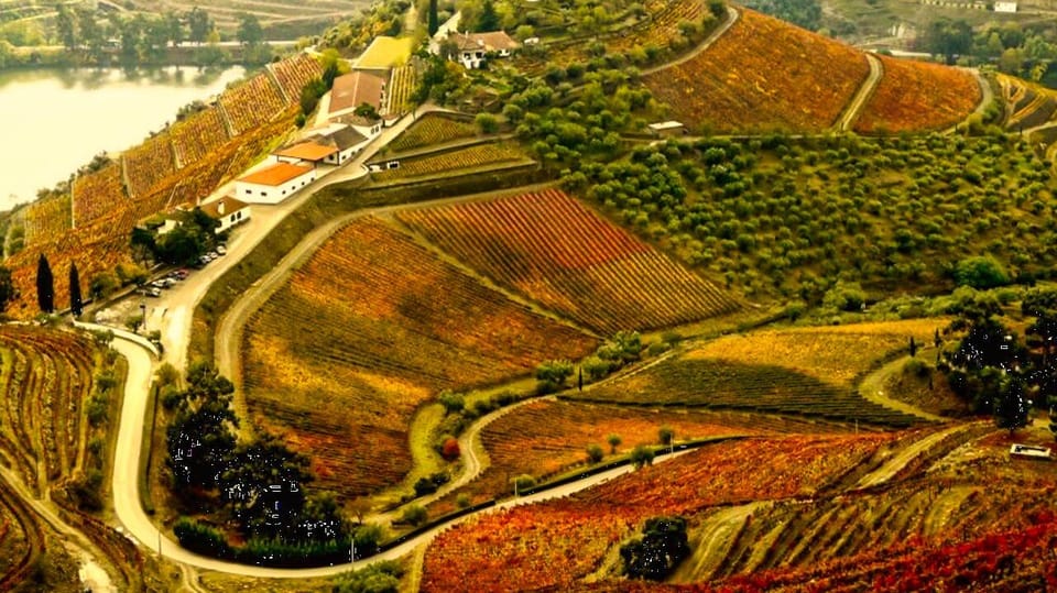 Oporto: Visita a las Bodegas del Valle del Duero con almuerzo y crucero ...