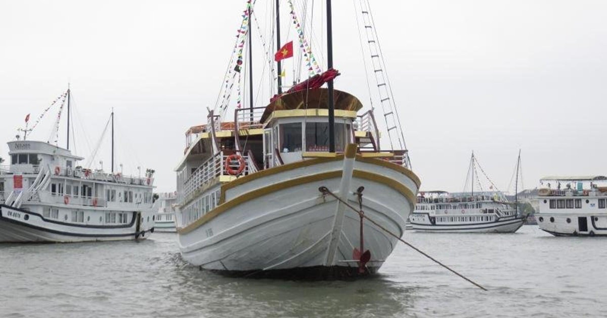 Vanuit NinhBinh: 2-Daagse 1Nacht route Bai Tu Long Bay cruise ...