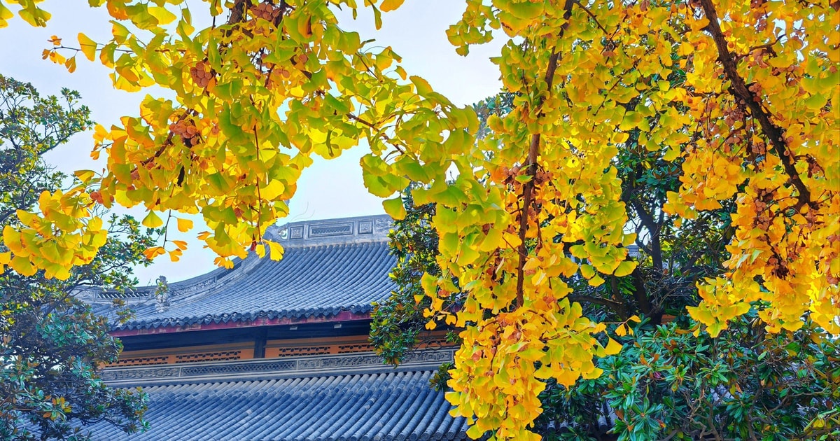 Shanghai: Spending a Chinese New Year's Day Like The Local | GetYourGuide