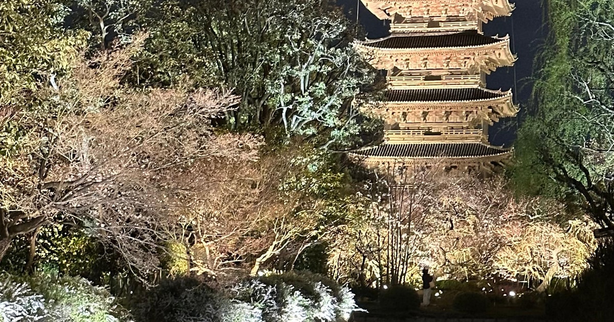 Kioto: tour a pie por el templo Toji con guía de meditación | GetYourGuide
