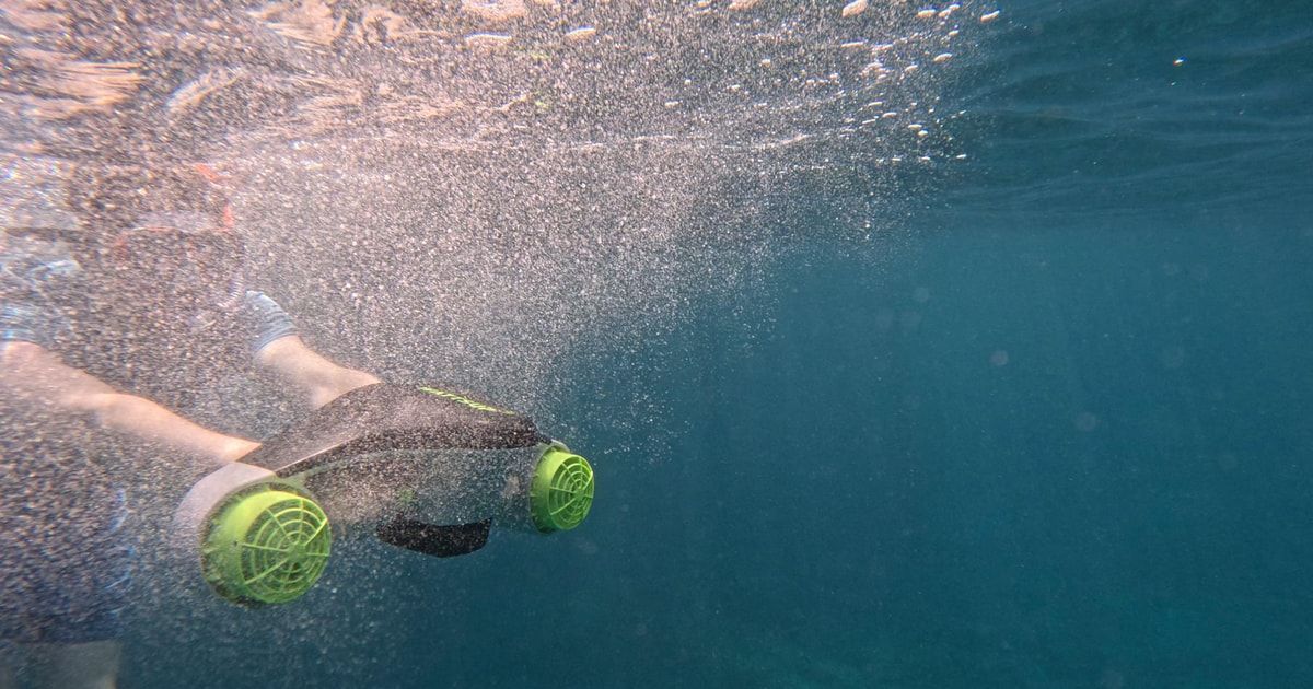 Tenerife: tour in kayak con animali e scooter subacquei | GetYourGuide