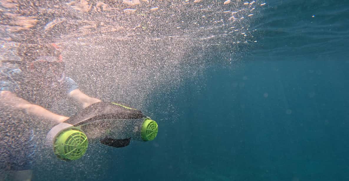 Tenerife: kajak-tur med dyr og undervands-scootere | GetYourGuide