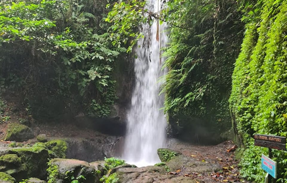 Ubud Hidden Gems: Wasserfall Tour | GetYourGuide