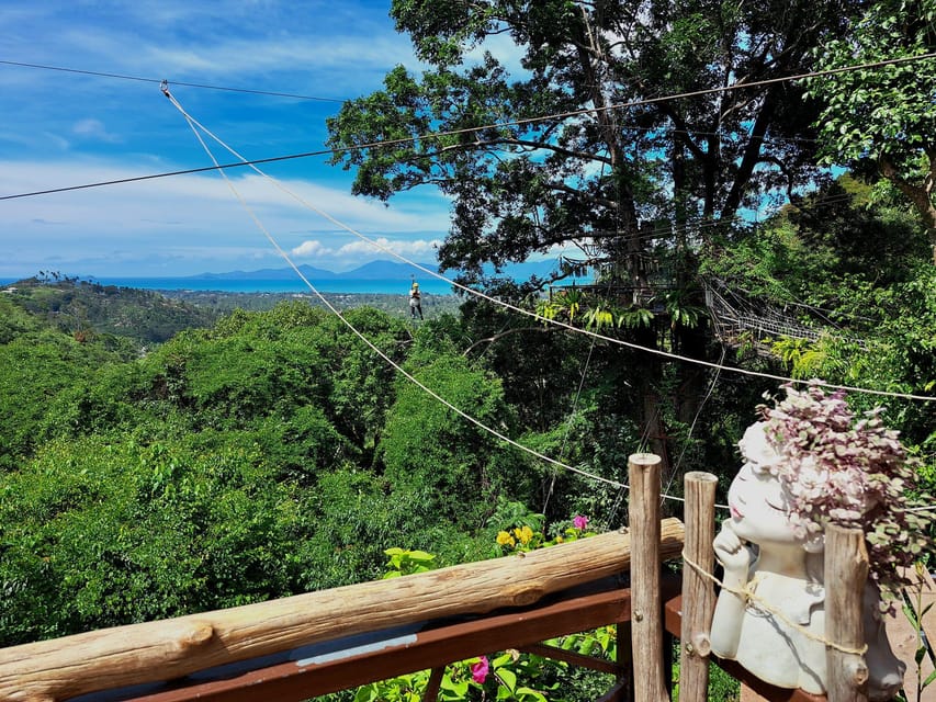 From Koh Samui: Tree Bridge Zipline and Café Experience | GetYourGuide