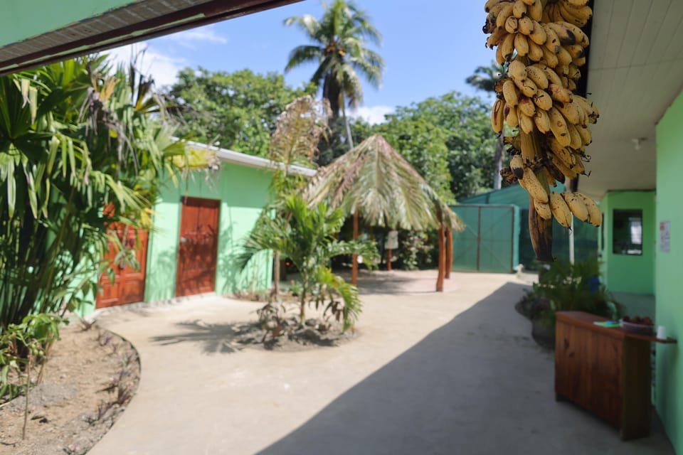 Cahuita Nationalpark & Maratopia tropischer Garten | GetYourGuide