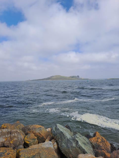 Dublin: Nature & Hiking in Howth (Walking Tour) | GetYourGuide