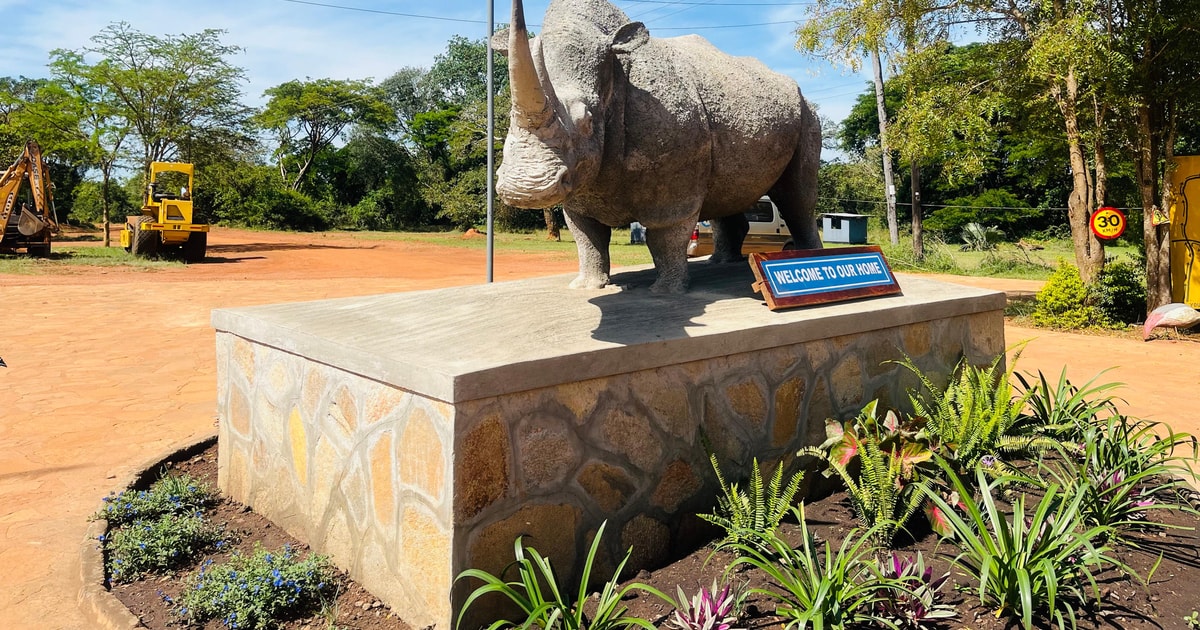 Rhino Tracking Adventure at Ziwa Rhino & Wildlife Ranch | GetYourGuide