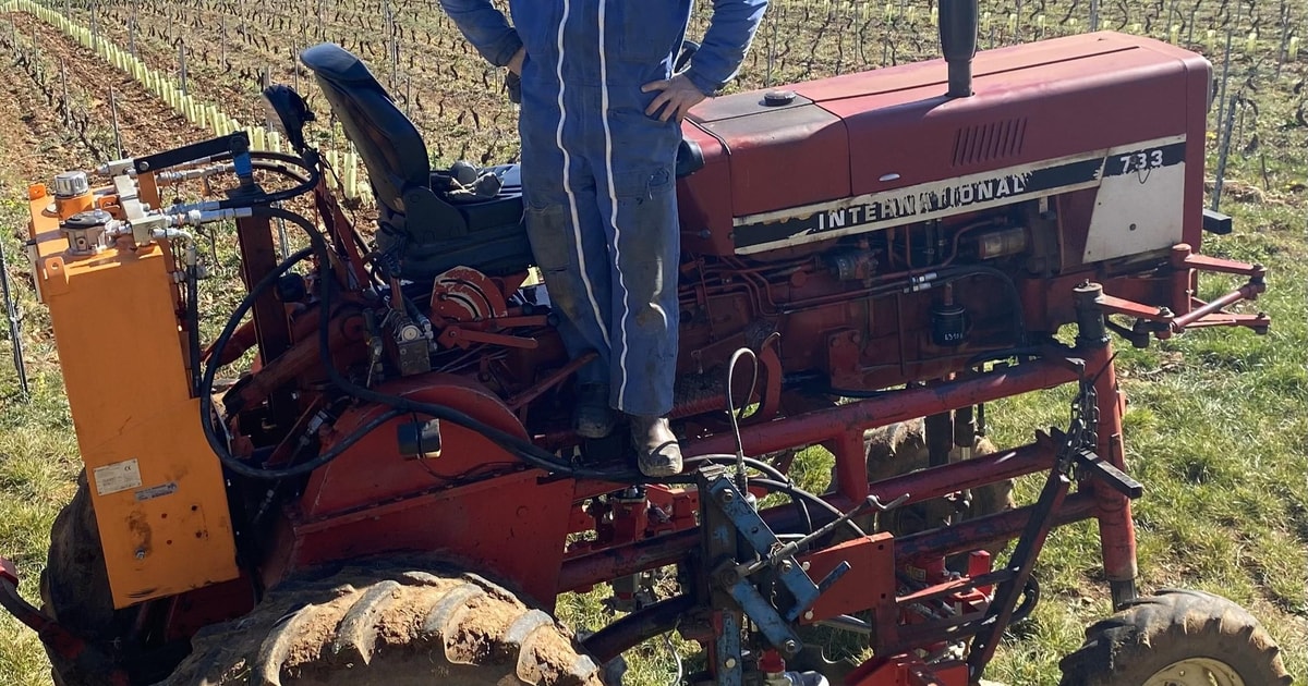 Lyon & Beaujolais: walking tasty tour with a local (train) | GetYourGuide