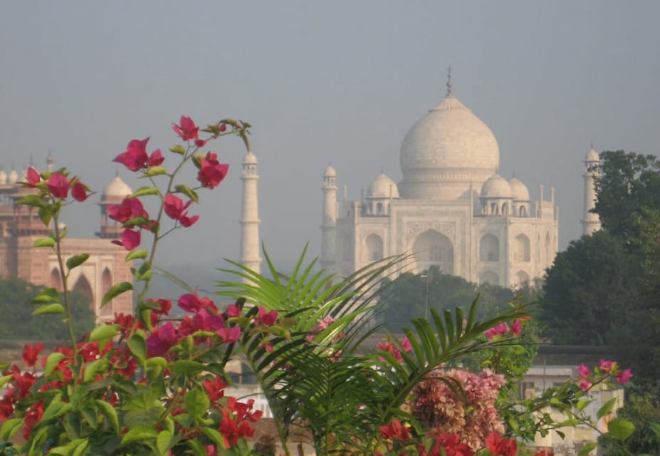 Agra: Taj Mahal And Agra Fort Tour With Optional Tuk Tuk | GetYourGuide