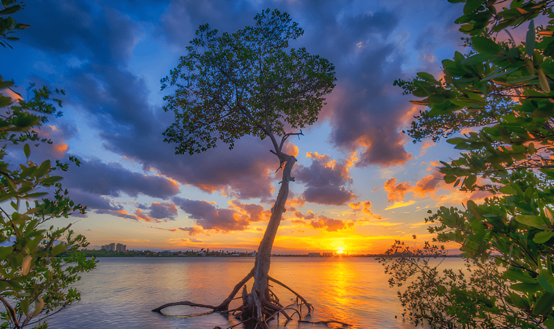 Crystal River Sunset Boat Tour | GetYourGuide