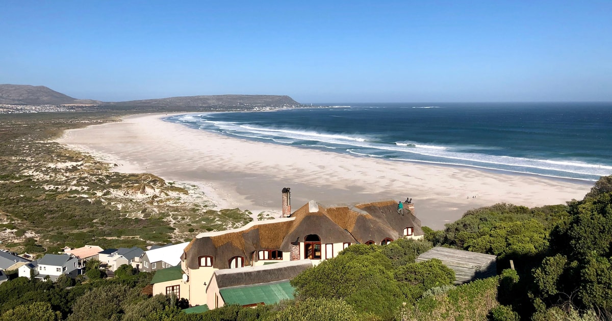 Tagestour zum Cape Point und Kap der Guten Hoffnung und zu den Pinguinen | GetYourGuide