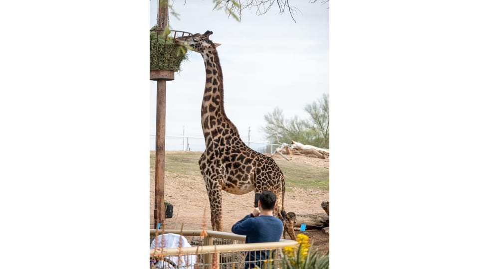 Phoenix Zoo One Day General Admission Ticket | GetYourGuide