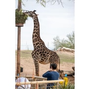 Phoenix Zoo: One Day General Admission Ticket | GetYourGuide