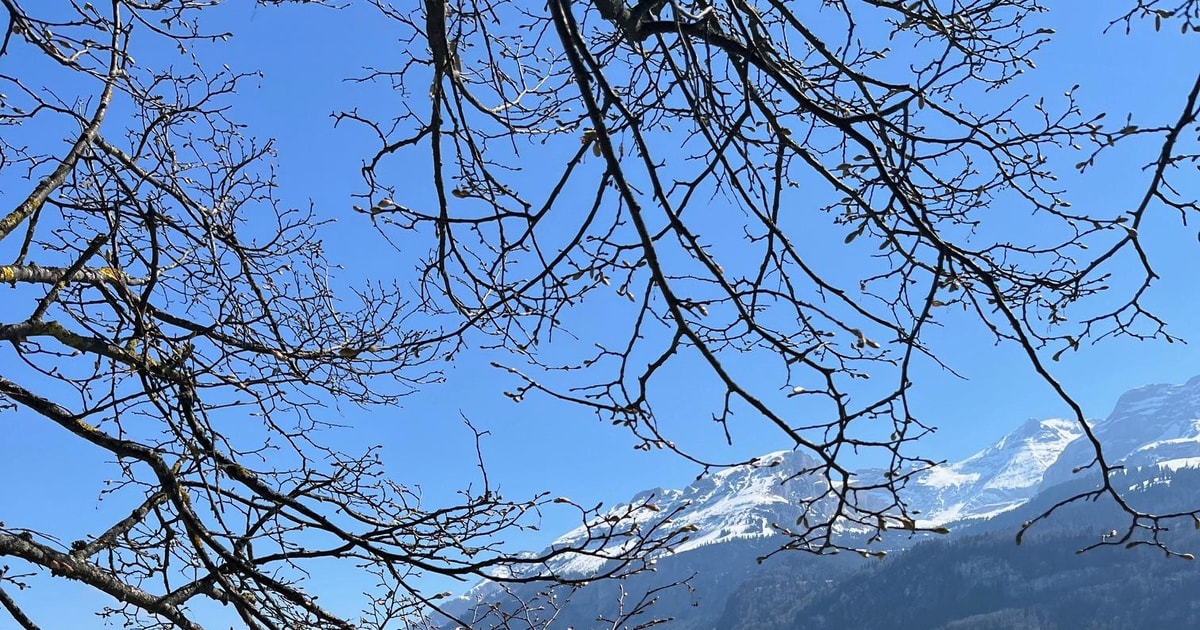 From Basel: Alps, Waterfalls and Lakes Private Car Tour | GetYourGuide