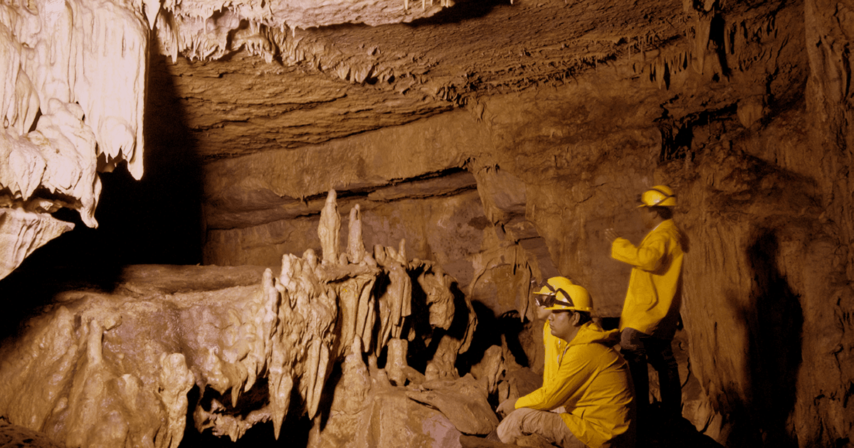 Tarapoto's Hidden Abyss - Exploring the Palestine Cave | GetYourGuide
