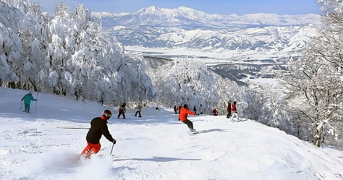 Snow Monkey & ZinkoJi mit Sake-Verkostung Private Tour | GetYourGuide