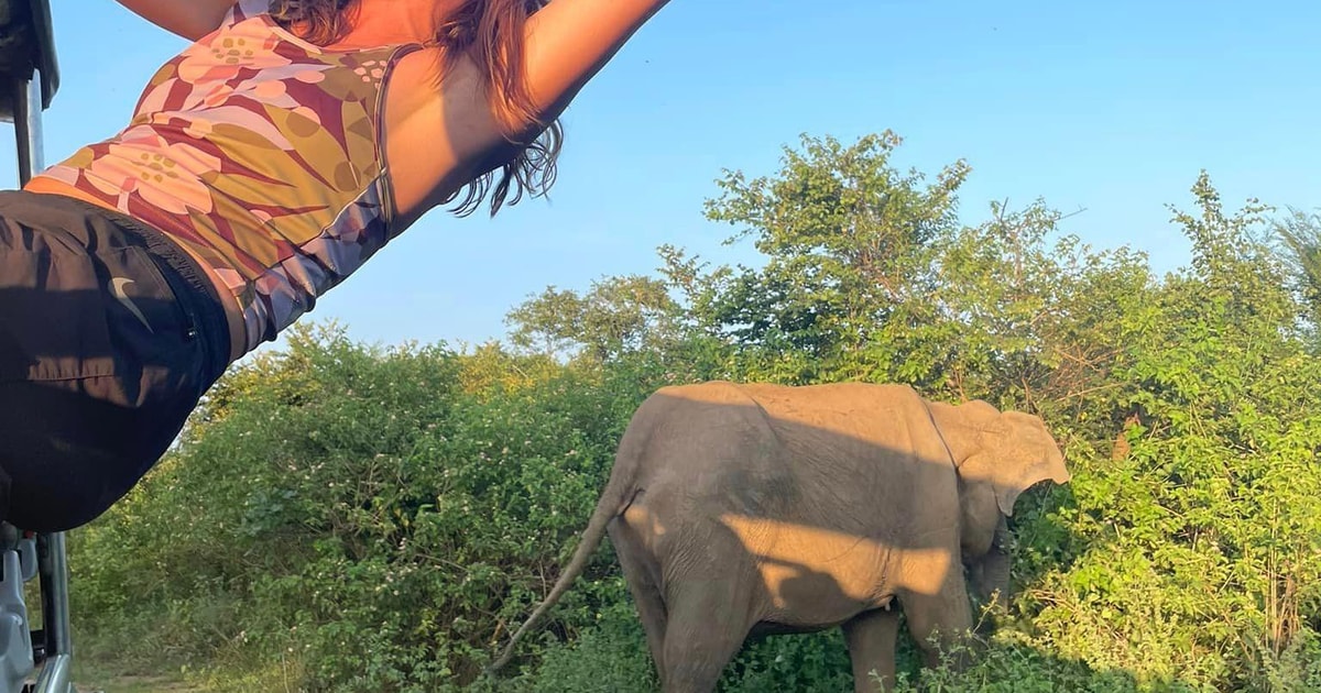 Fra Tangalle/Hiriketiya: Yala-safari med aflevering: Ella | GetYourGuide
