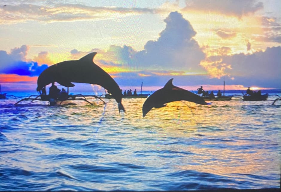 Wild Dolphine Lovina Beach with Temple & Famous Waterfall | GetYourGuide