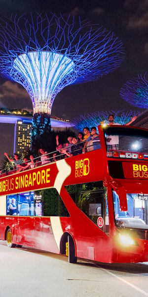 Singapore: Big Bus Night Tour with Live Guide | GetYourGuide