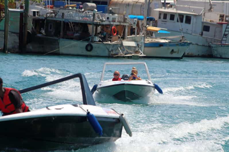 Nassau: Self-Drive Speedboat Ride and Pig Swimming Encounter | GetYourGuide