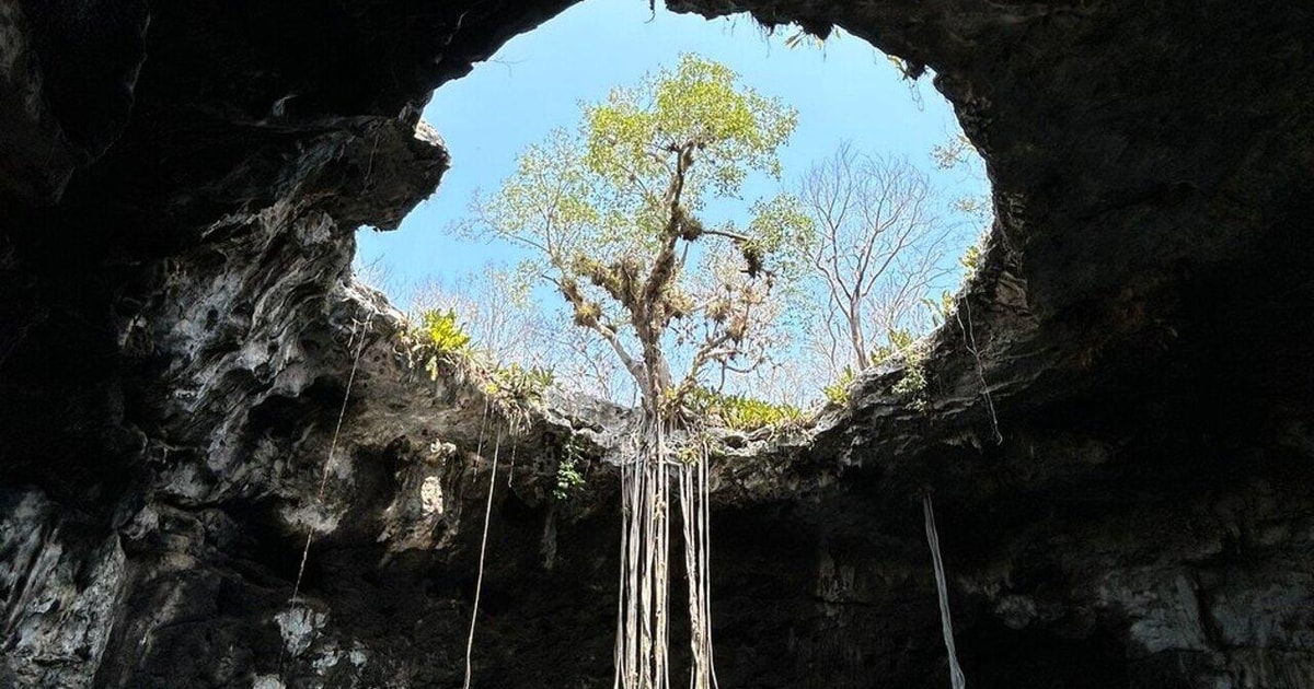 4 Cenotes with Bike, Lunch, Guide, and Interactive Game from Mérida ...