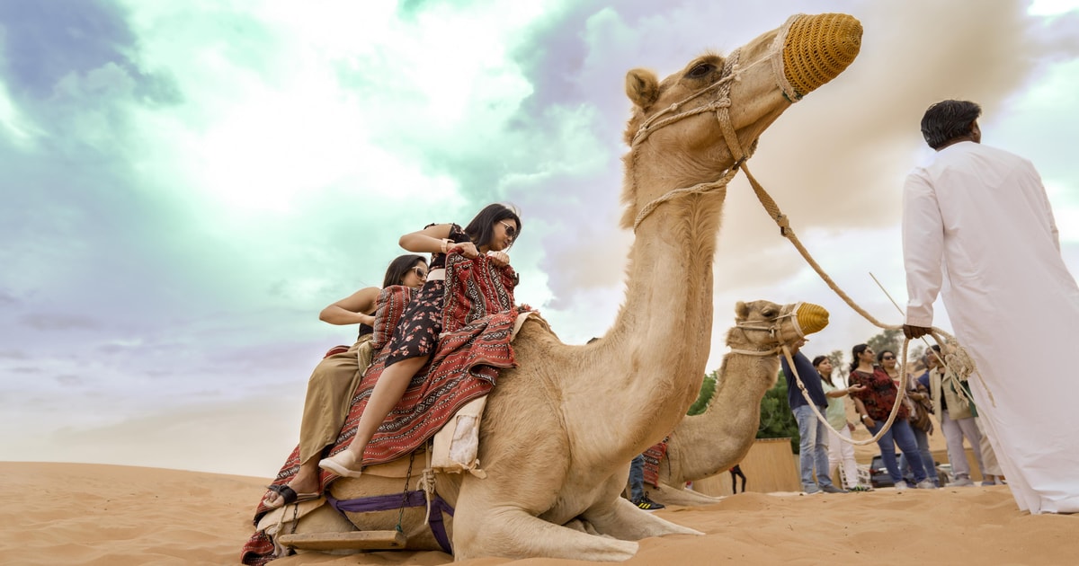 Discover Abu Dhabi through Camel Trekking Adventure | GetYourGuide