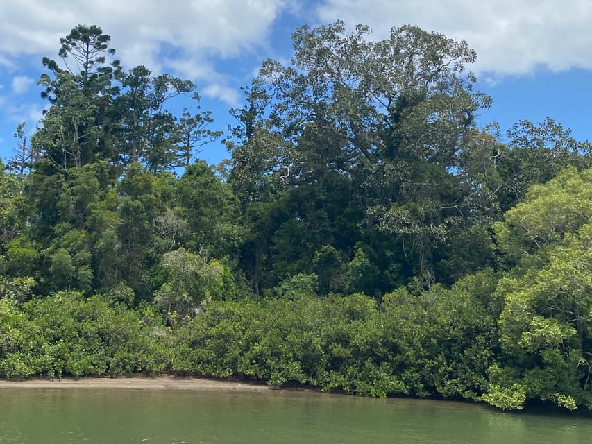 Tweed River Cruise | GetYourGuide