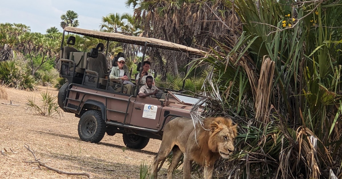 Z Zanzibaru: najlepsze jednodniowe safari Mikumi z lotami i lunchem ...