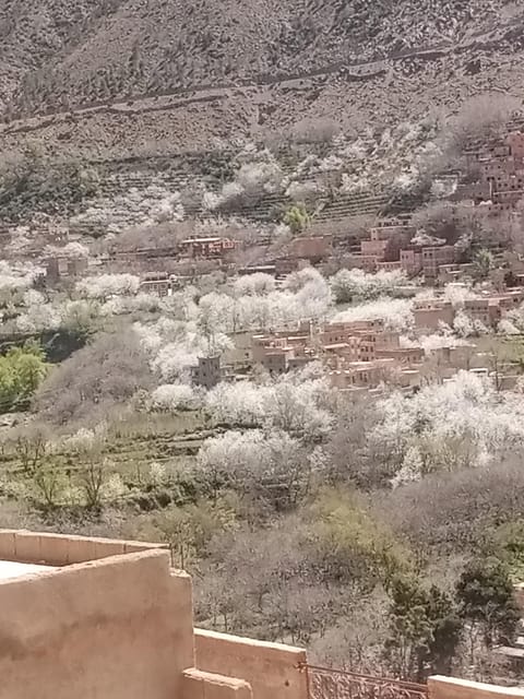 4 hours hiking in imlil Valley | GetYourGuide