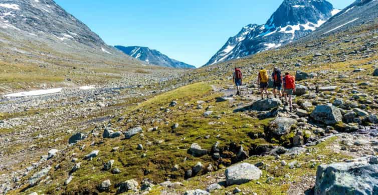 Jotunheimen National Park, Lesja - Book Tickets & Tours | GetYourGuide