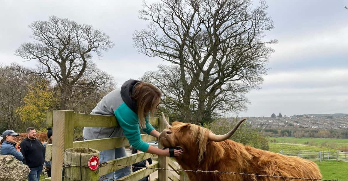Edimburgo La Vaca de las Tierras Altas, el Castillo de Blackness y la ...