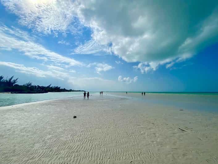Holbox Plus+Cenote 살펴보기 | GetYourGuide