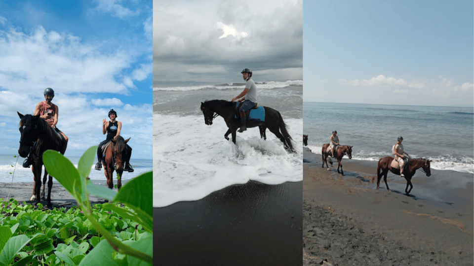 Ubud: 1 Hour Beach Horse Riding with Transfer | GetYourGuide