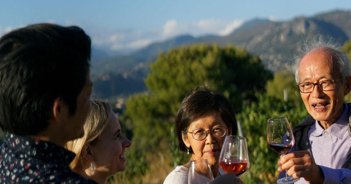 Nice: Vineyard Tour with Wine Tasting | GetYourGuide