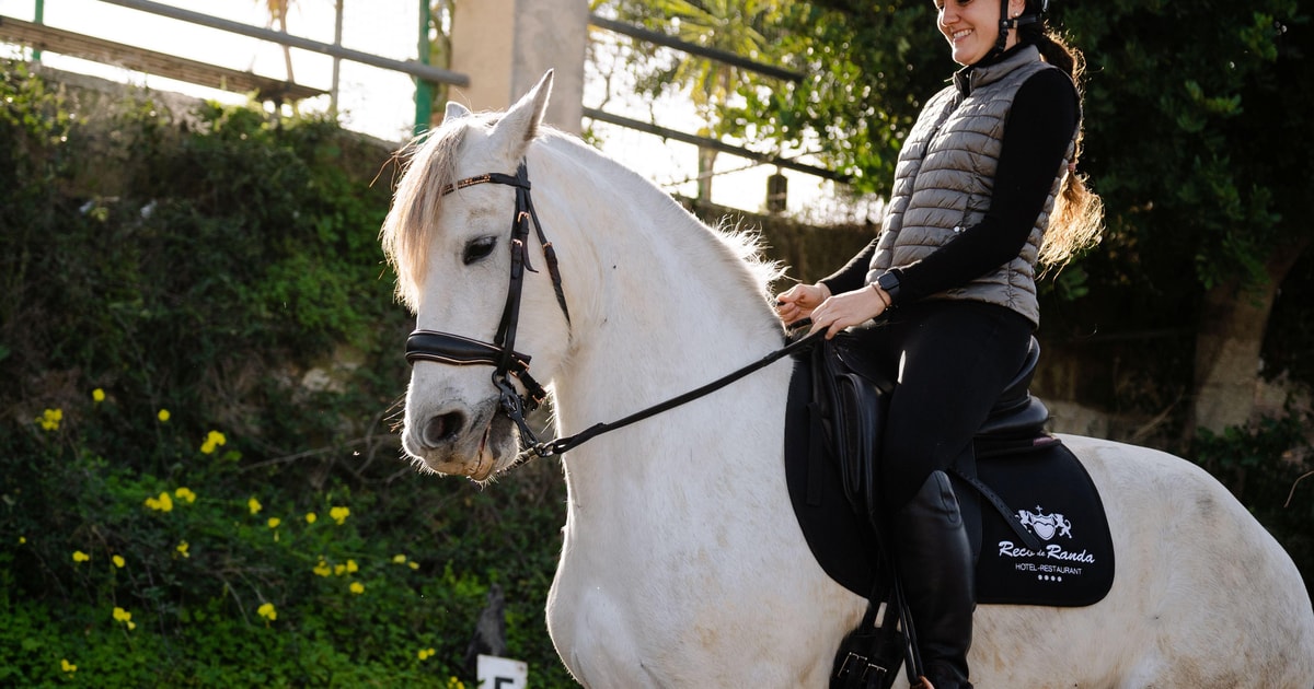 Mallorca: Spanish Dressage Horse Riding Lesson & Experience | GetYourGuide