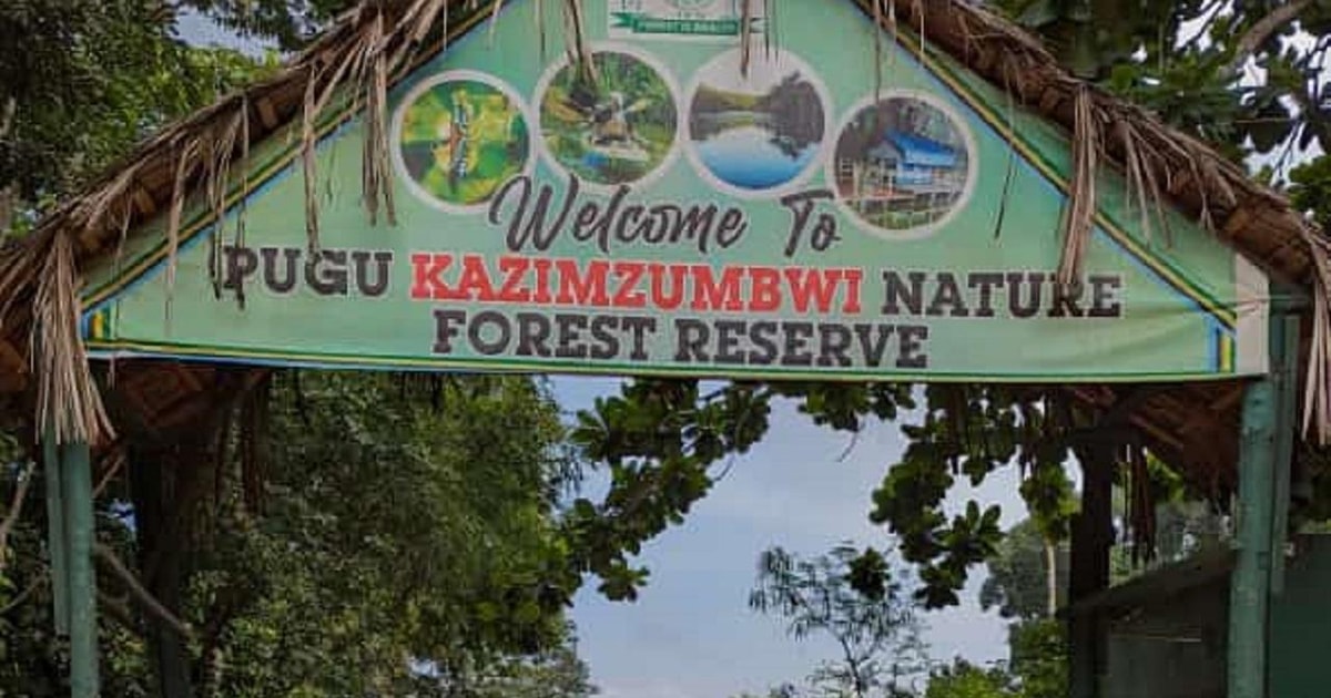 Pugu Hills Nature Forest: Hiking, Kayaking and Camping | GetYourGuide