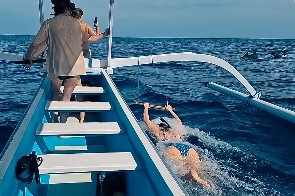 Lovina: Observación de delfines, snorkel y natación | GetYourGuide