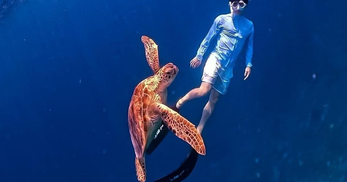 Gili Trawangan : Snorkeling privat 4 locuri și pui de țestoasă ...