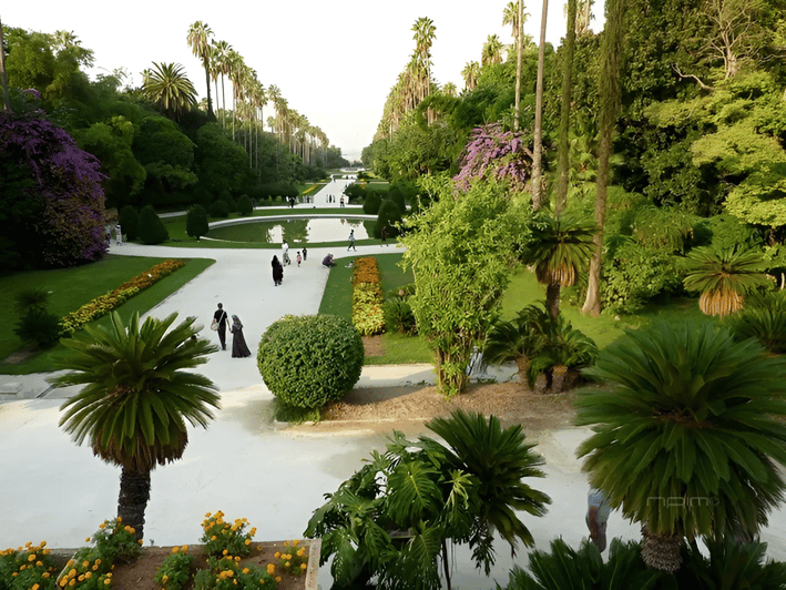 Explore Algeria in 4 Days: History, Culture, Natural Beauty | GetYourGuide