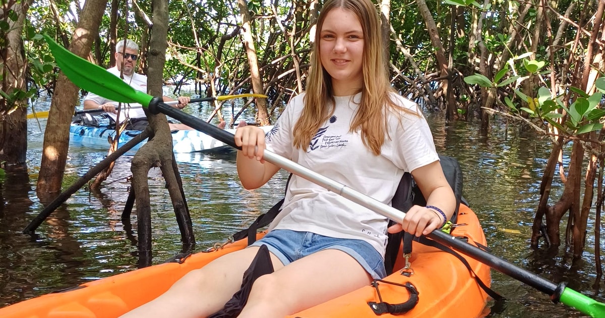 UZI ISLAND MANGROVE CONSAVATION WITH KAYAK TOUR | GetYourGuide