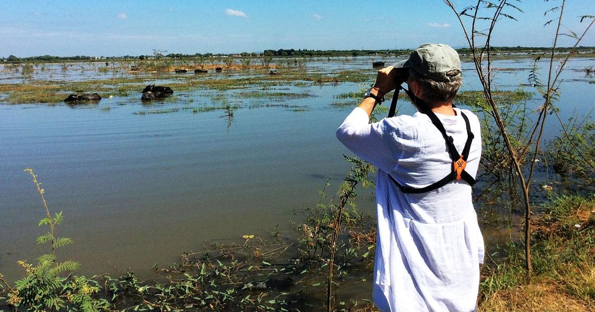 Bird Watching at Tonle Sap’s Inundated Forest From Siem Reap | GetYourGuide