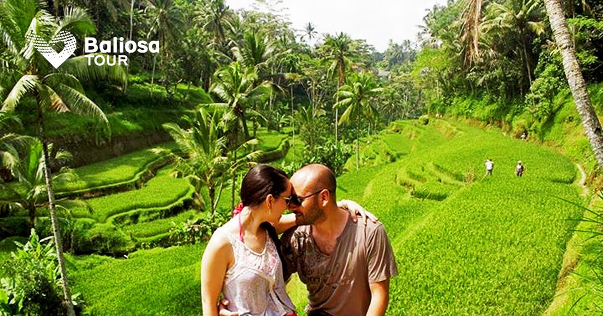 Bali: Customized Private Tour | GetYourGuide