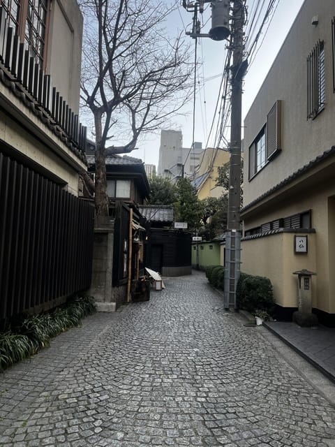 Walking Tour in Shinjuku & Kagurazaka: Tokyo's Hidden Gems | GetYourGuide