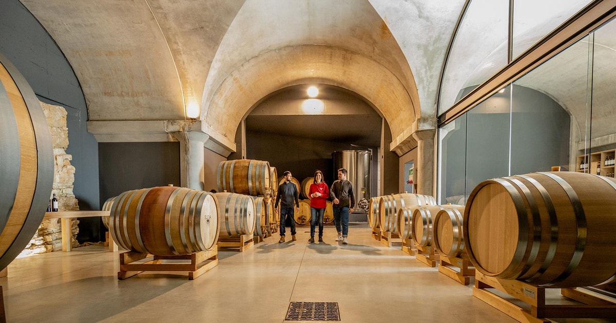 Valpolicella: Visita à vinícola com degustação de 4 vinhos orgânicos ...