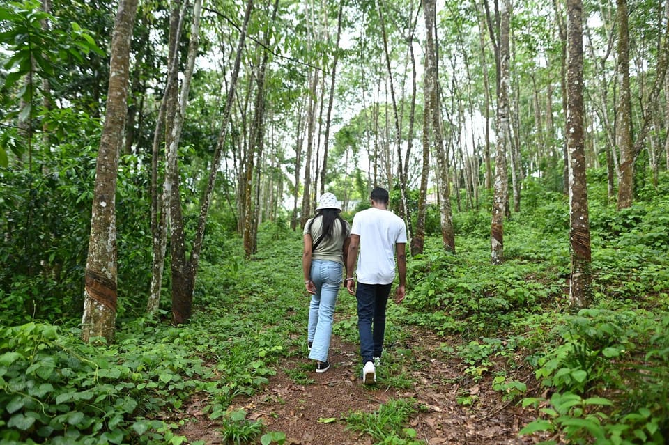 Godakawela Village Tour with Traditional 4 Causes Lunch | GetYourGuide