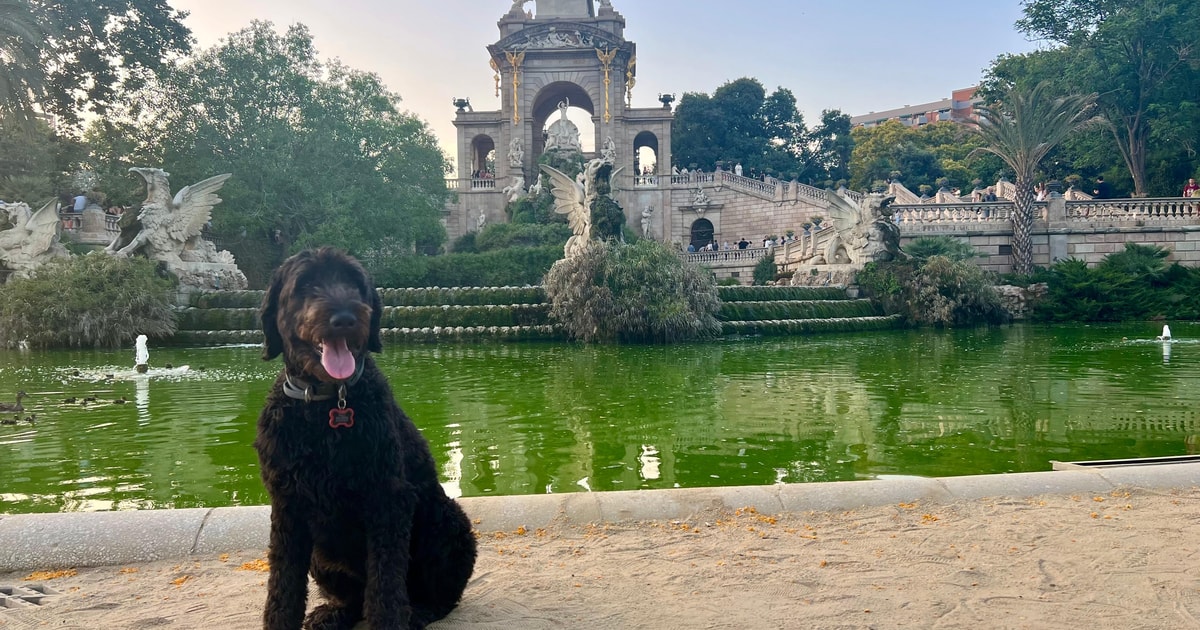 Barcelona: Hidden Gems Walking Tour with a Local & Dog | GetYourGuide
