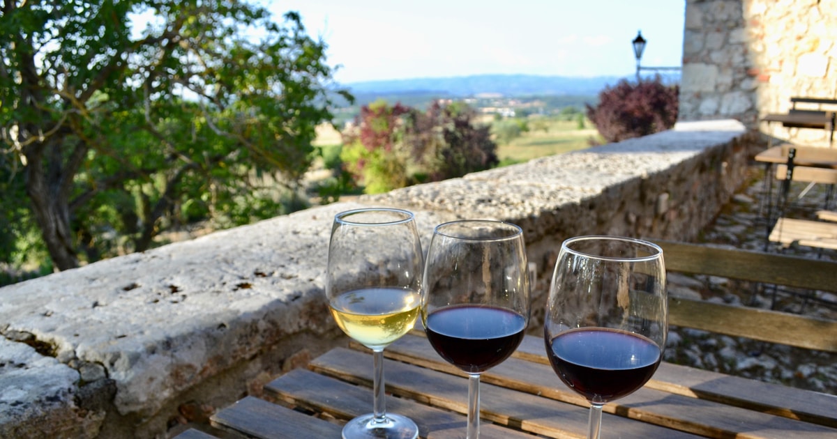 Chianti: visita a la bodega del castillo con cata de vinos | GetYourGuide