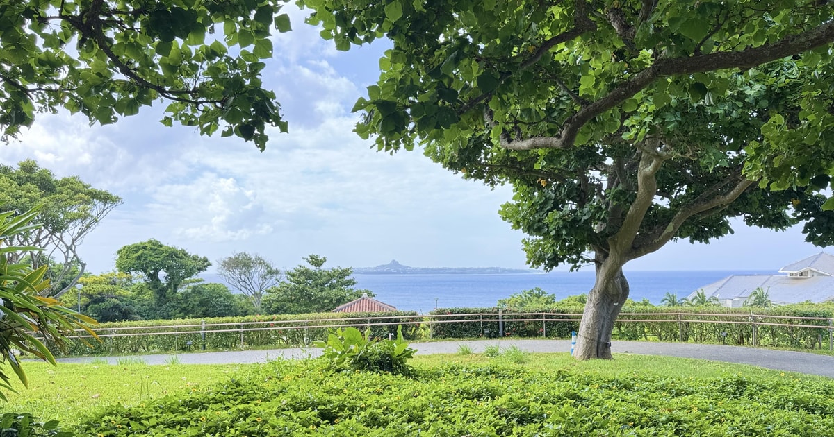 Okinawa: Discover Senaga Island, Beaches & American Village | GetYourGuide