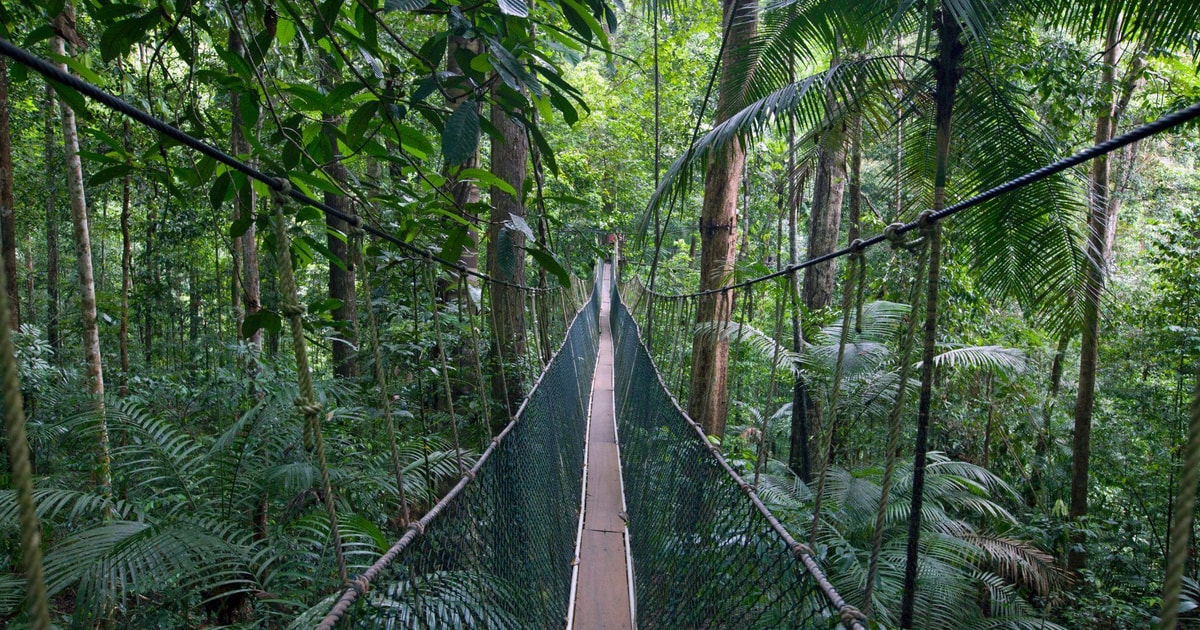 Tour por la selva tropical de Taman Negara con las cataratas Lata ...